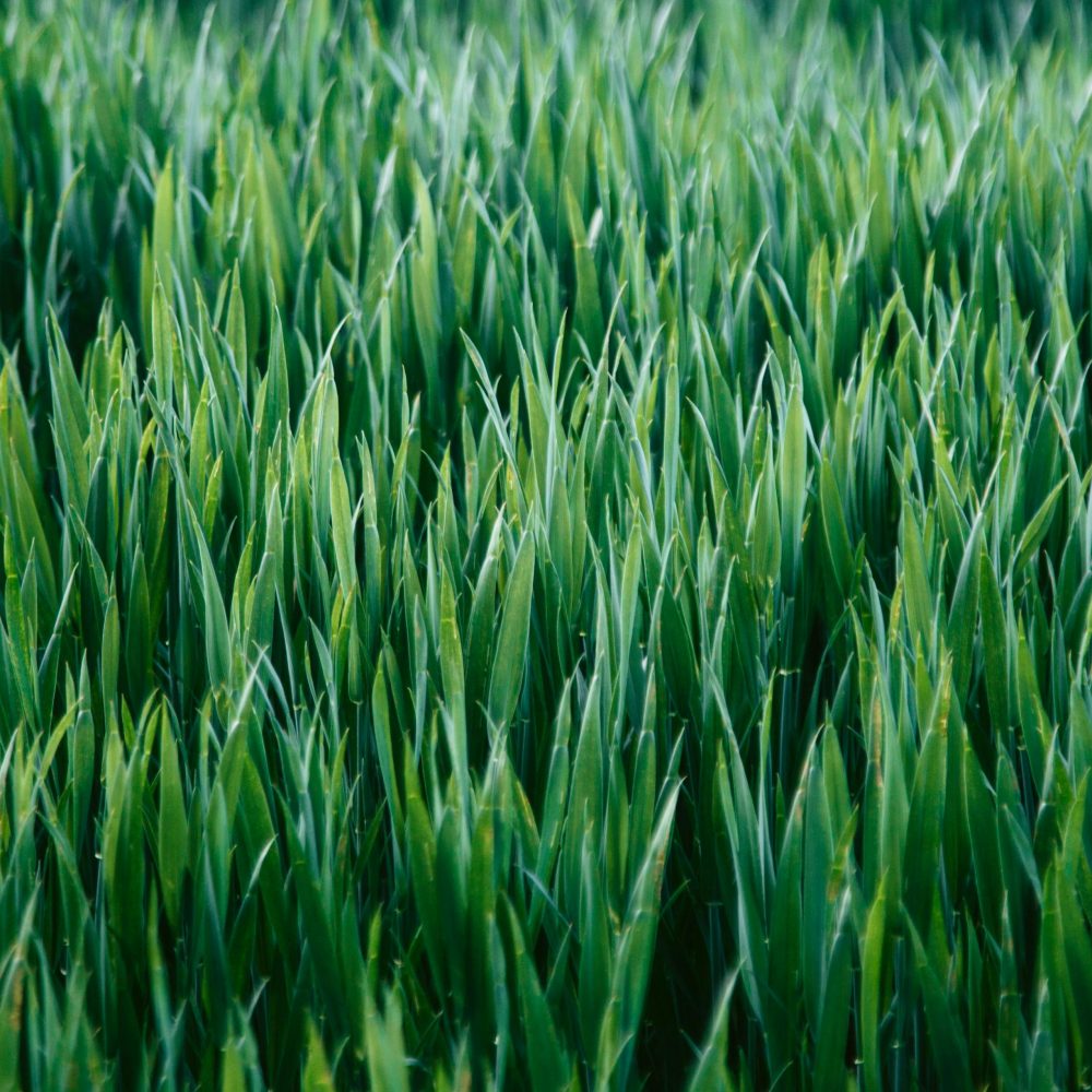 Blog - F.H. Perry Builder